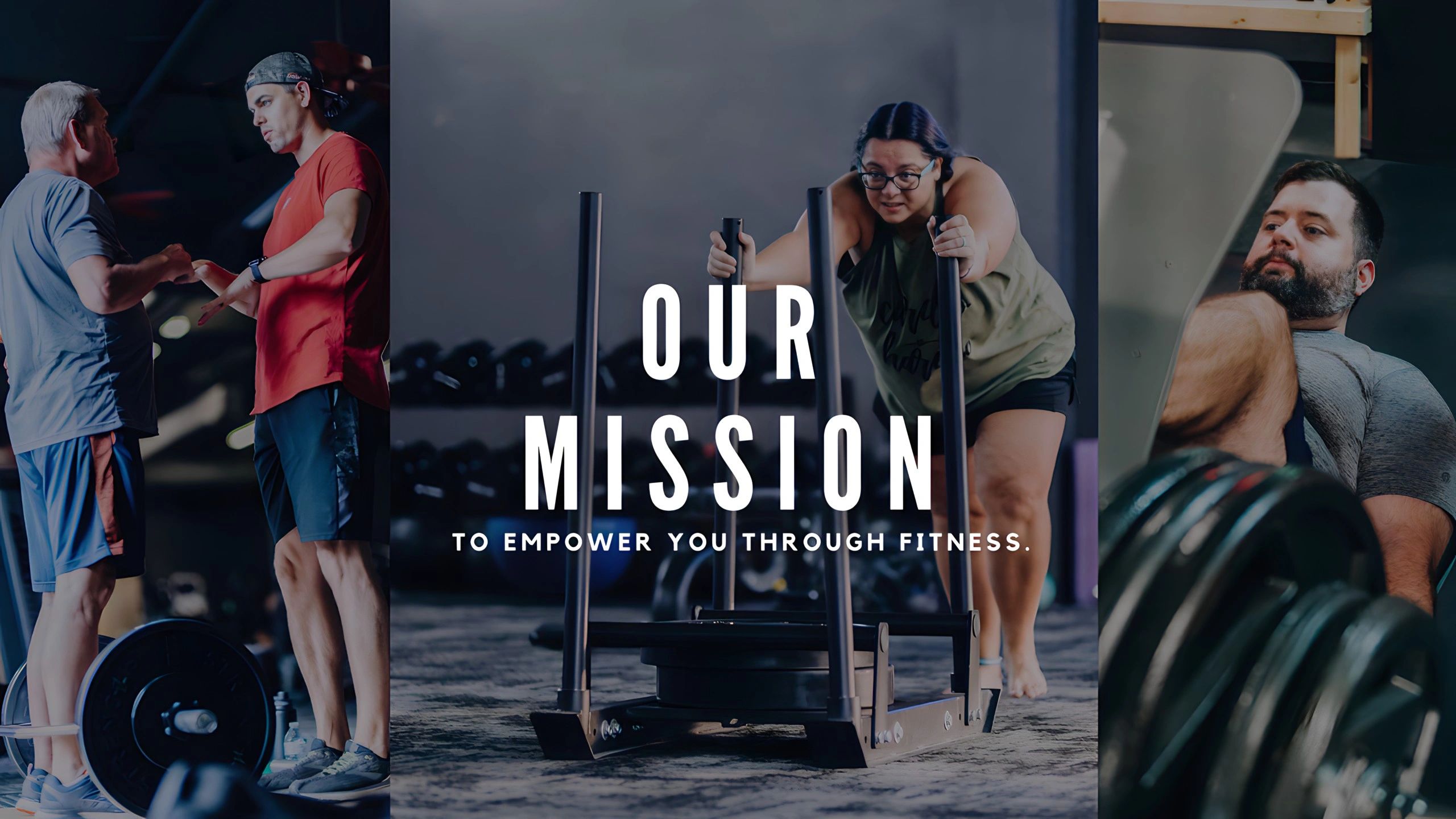 Our program / Contact